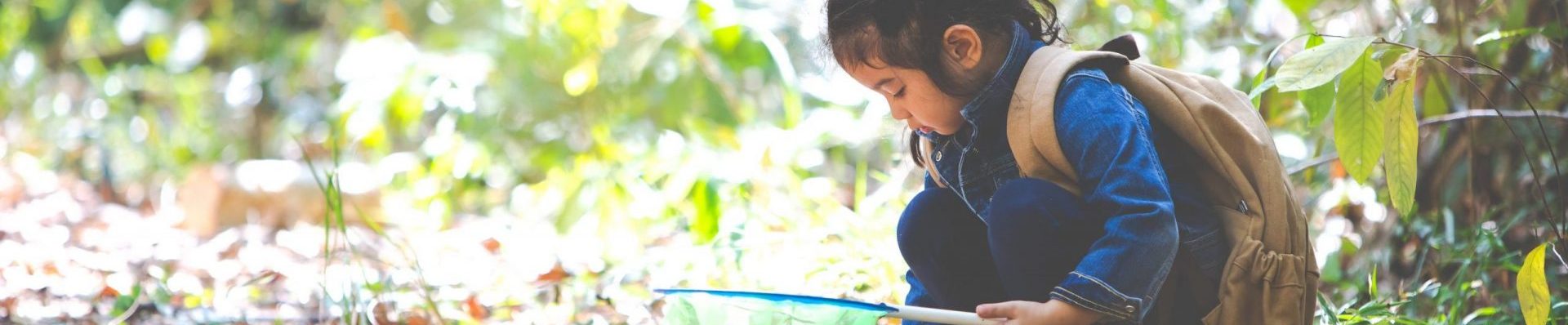 Forest Explorers Outdoor Early Learning Centre │ Andrew Fleck Children ...